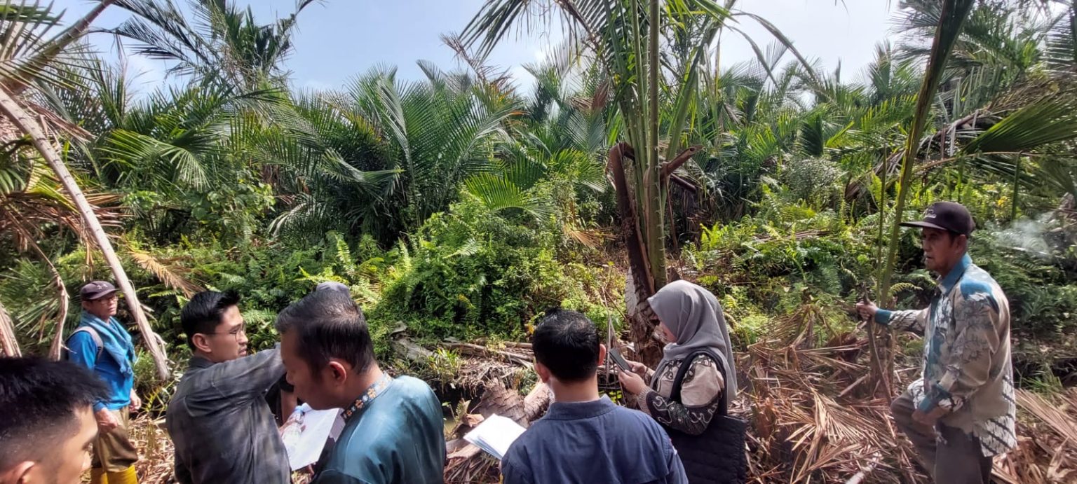 Pemeriksaan Setempat untuk nomor perkara 7/Pdt.G/2025/PN Sak ...